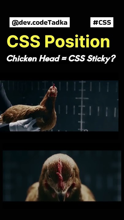 CSS Position Sticky Explained with Chicken Head Logic | Web Dev Trick # ...