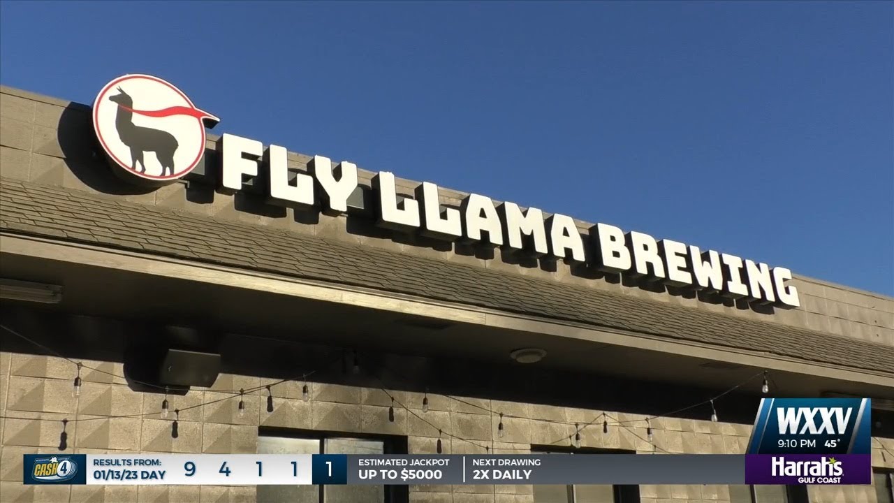 Fly Llama Brewing in Biloxi is celebrating two years of business - YouTube