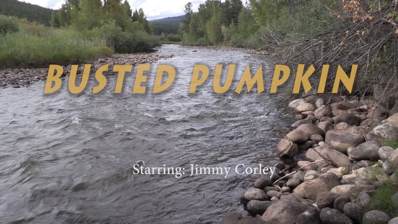 Busted Pumpkin - YouTube