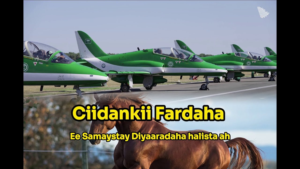 Ciidankii Fardaha oo hadda ka mid noqday kuwa adduunka ugu awoodda ...