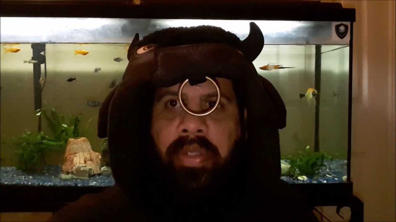 Happy Halloween FishFam 2017 - YouTube