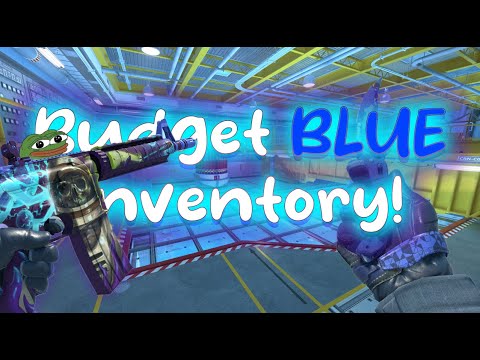 Best CS2 Budget Blue Inventory! - YouTube