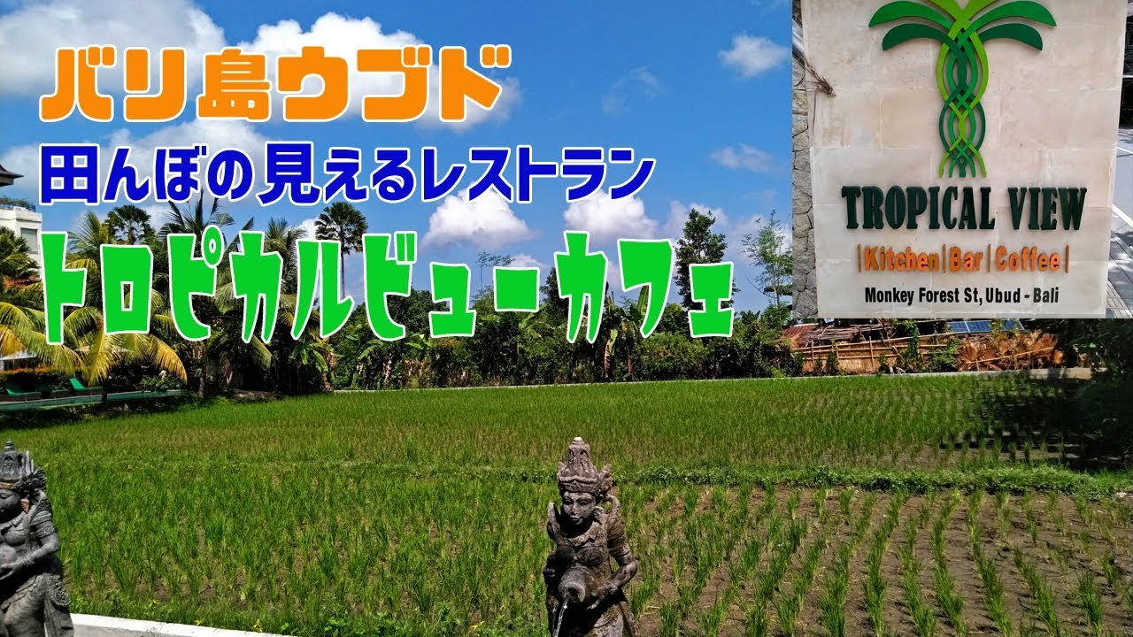 【バリ島食べログ】ウブド・トロピカルビューカフェ/Tropical View Cafe Ubud Bali - YouTube