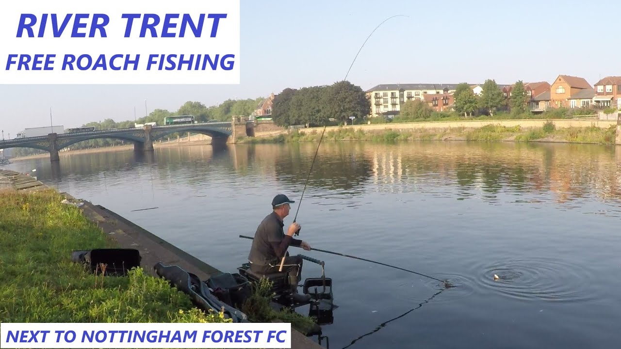 RIVER TRENT - FREE Roach Fishing - Nottingham Forest FC - Stick Float ...
