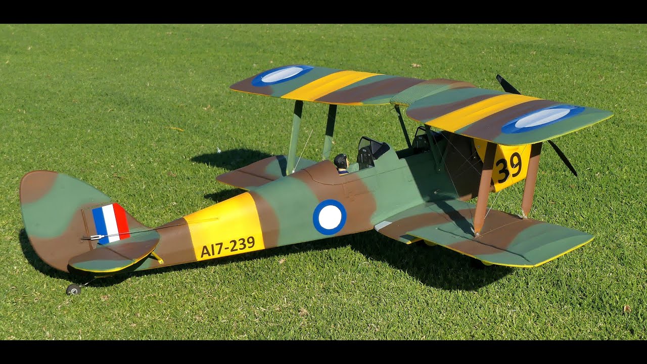 Scary RC Dynam DH82A Tiger Moth maiden flight - wall, ground, bird and ...