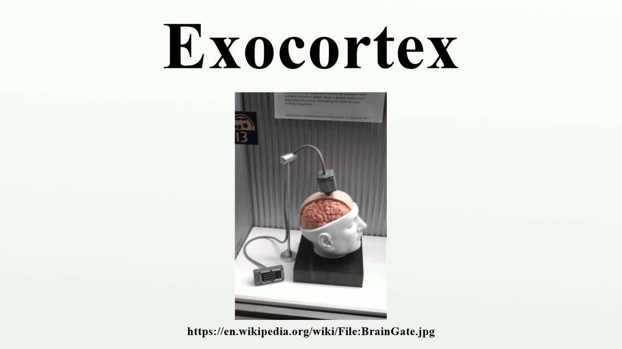 Exocortex - YouTube