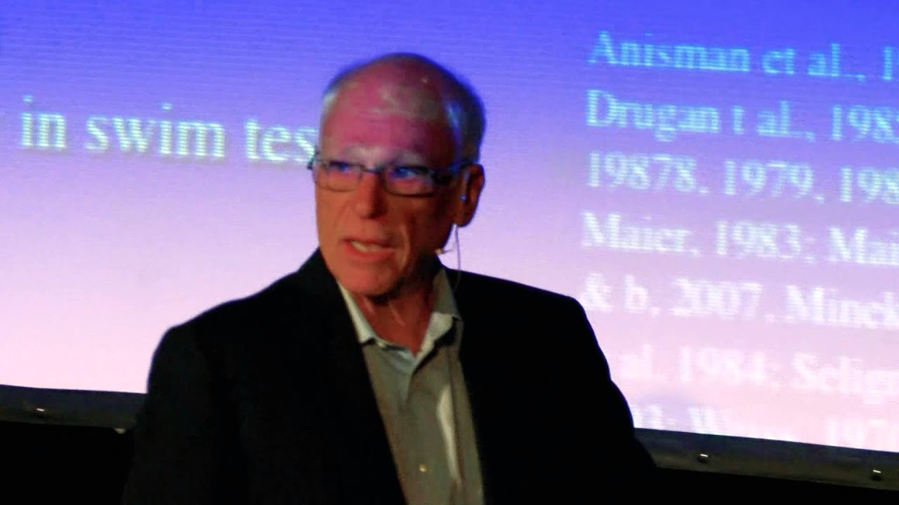 Steven Maier: Stress, Coping, Resilience and the Prefrontal Cortex ...