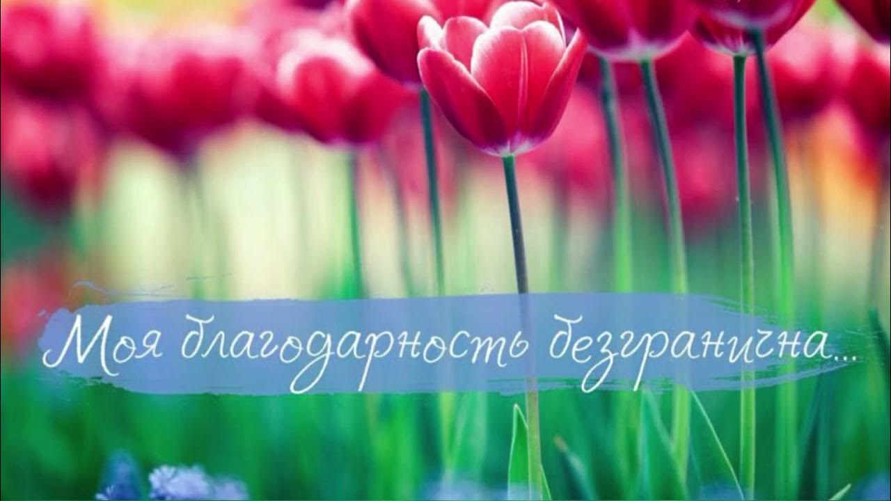 День благодарности - YouTube