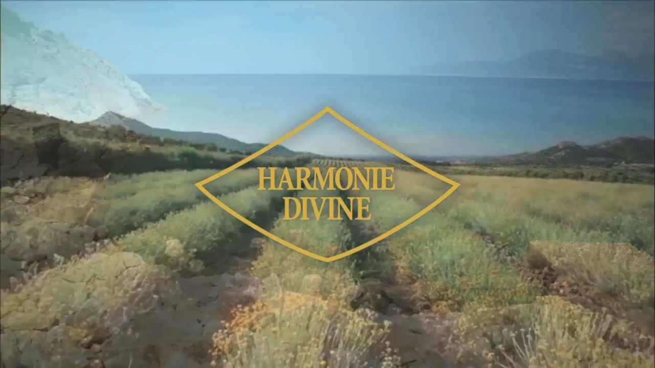 Divine Harmonie - Supreme Synergy Youth Care | L'Occitane - YouTube