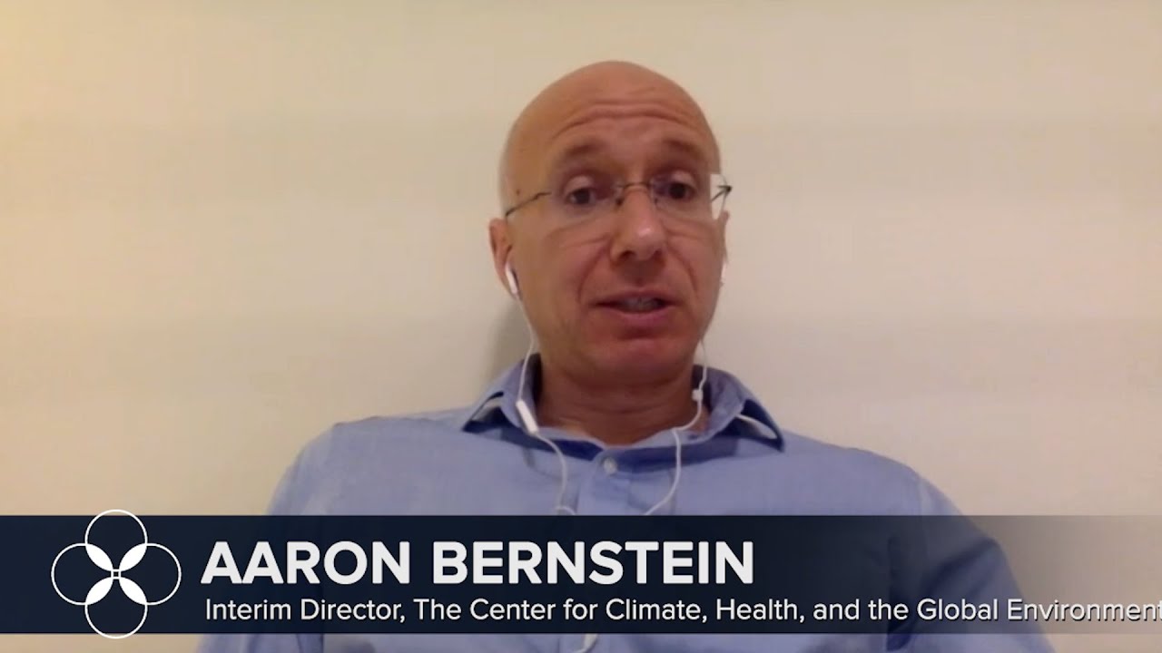 Dr. Aaron Bernstein on Climate Change: Waiting to Act "is Malpractice ...