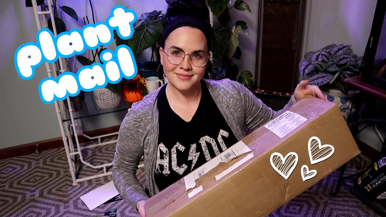 Unbox New Plant Mail with me from Etsy! two different plant mail ...