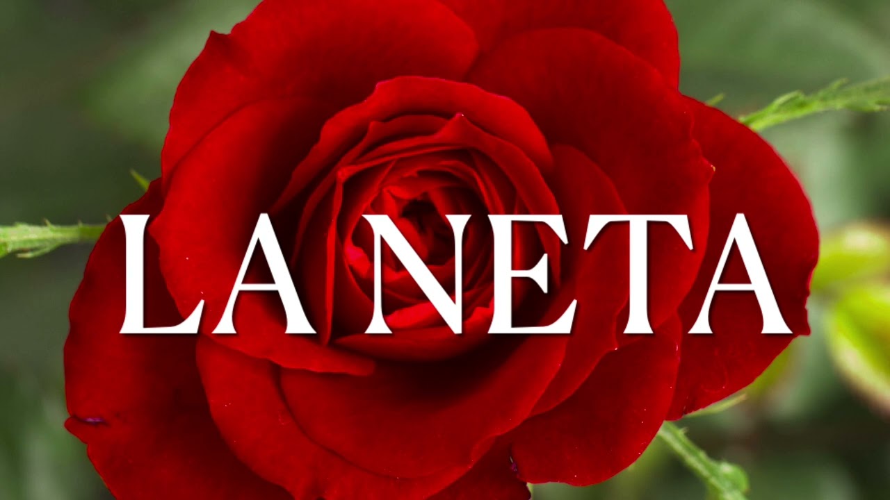 La Neta - Los Del Limit (slowed) official audio 2022 - YouTube