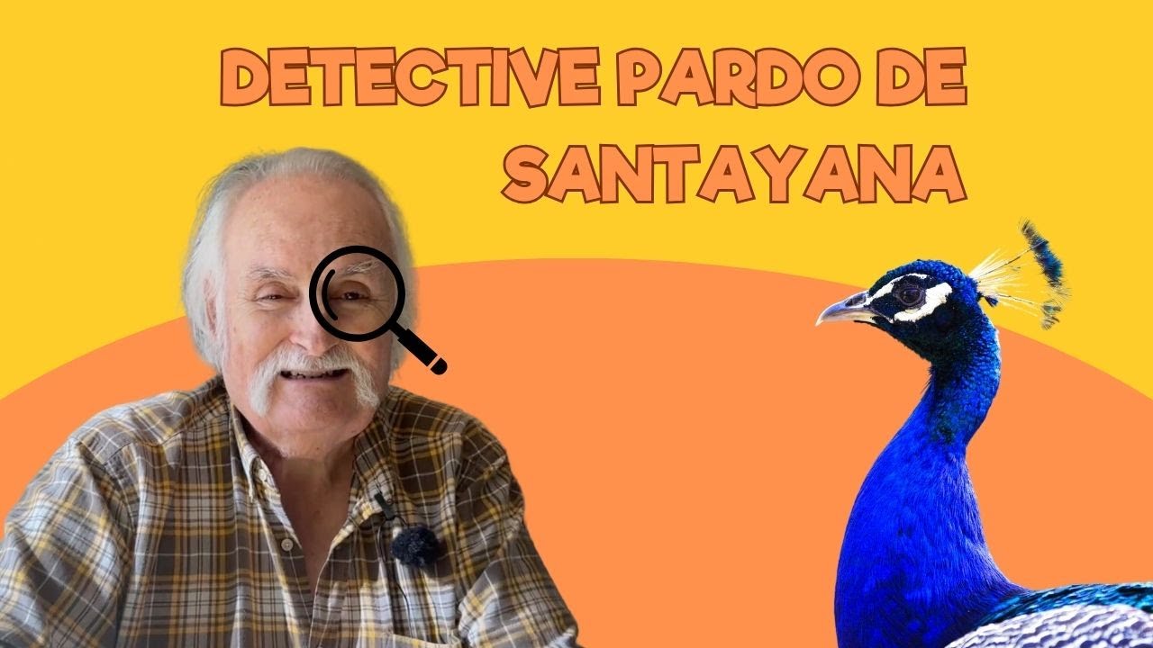 Viviendo en un Zoo: Detective Pardo de Santayana | Santillana del Mar ...