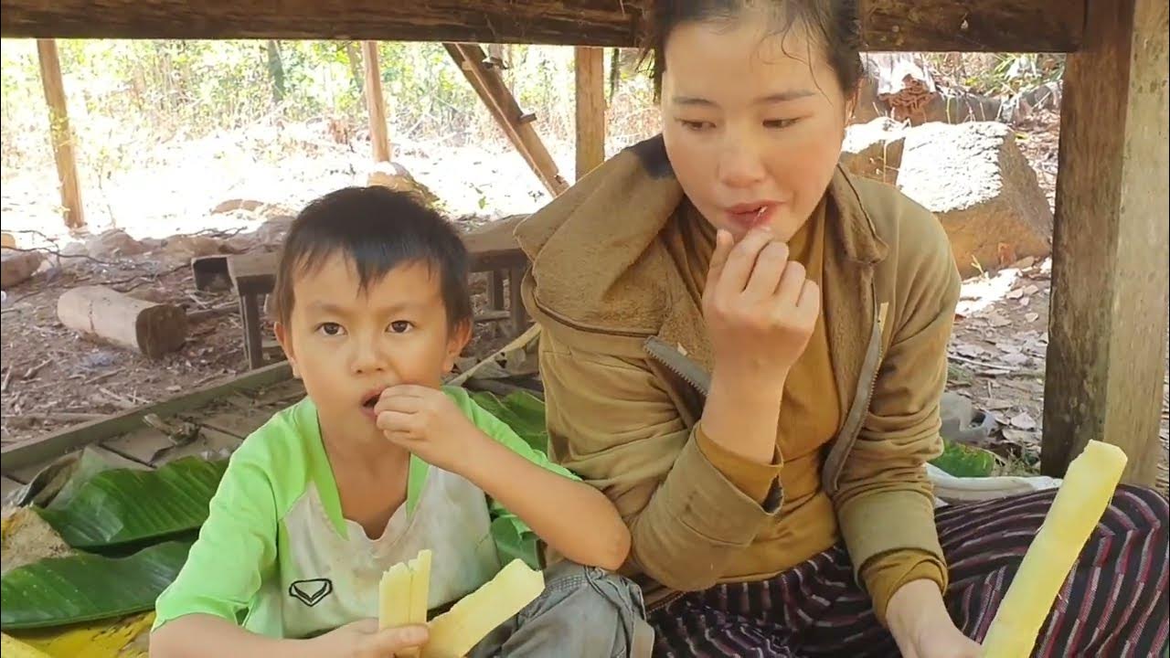 mus nrog niam dab laug lawv txiav kav qos noj sus qab heev - YouTube