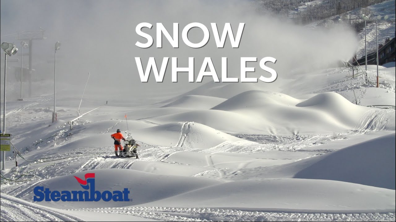 Steamboat - Snow Whales - YouTube