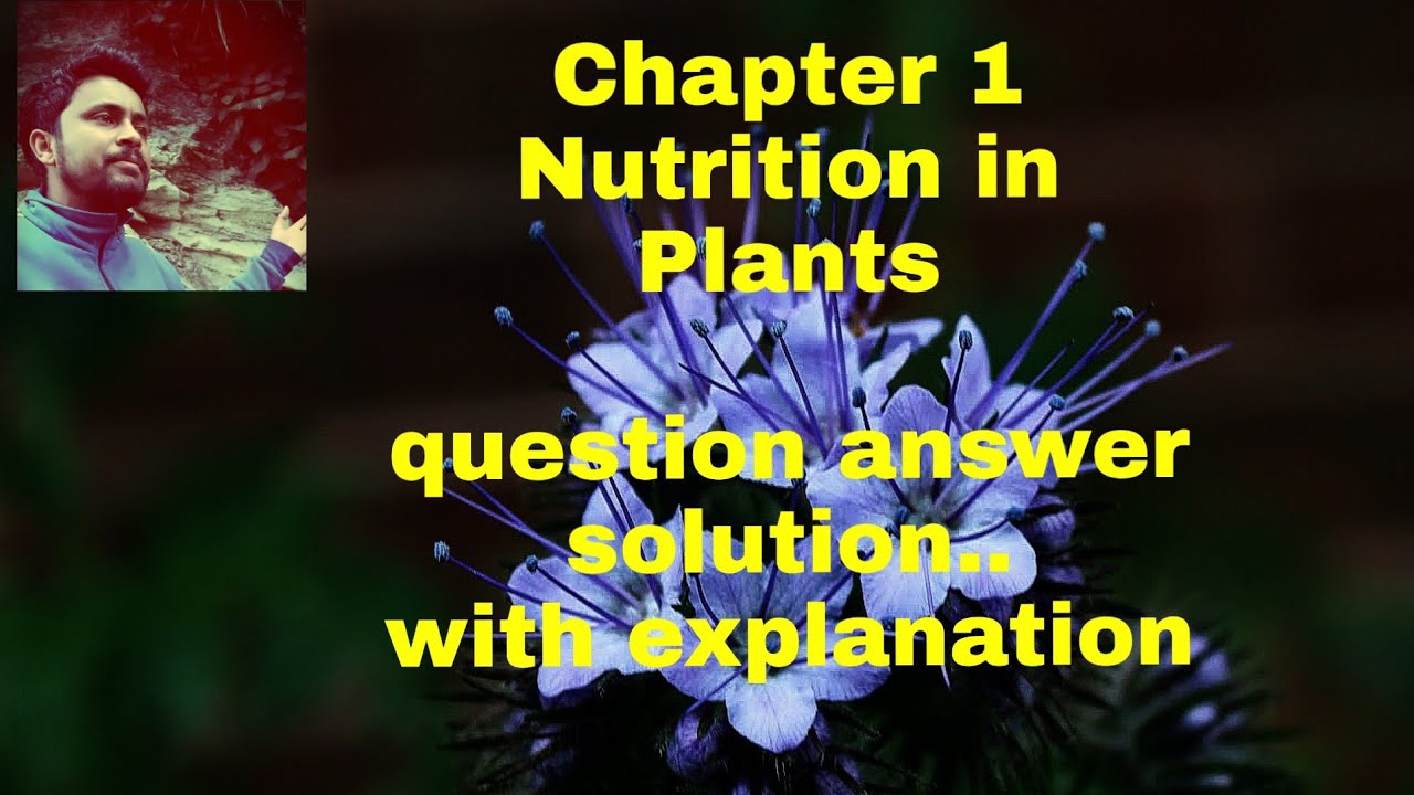 Chapter 1 Class 7th Science Question Answer Exercise Practise nutrition chapter-1-class-7th-science-question-answer-exercise-practise-nutrition
