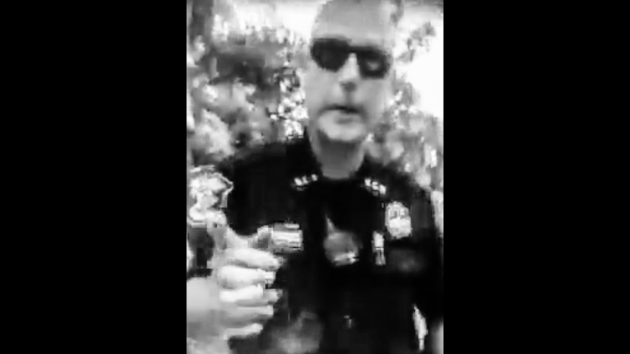 SKSO Sgt Neil Wilson Sarasota County Sheriff - YouTube