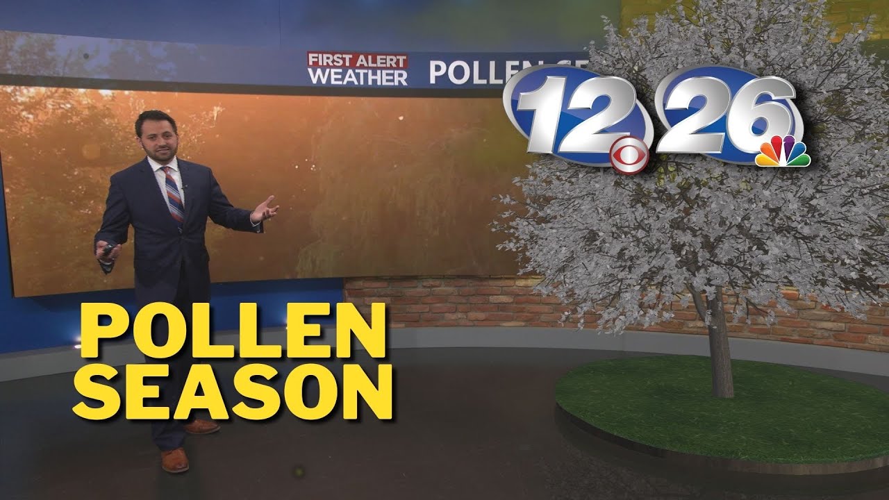 Pollen ramping up in Augusta - YouTube