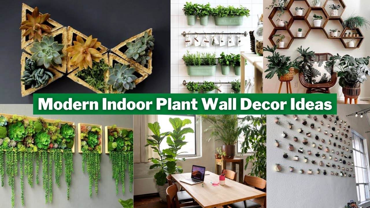 Modern Indoor Plant Wall Decor Ideas - YouTube