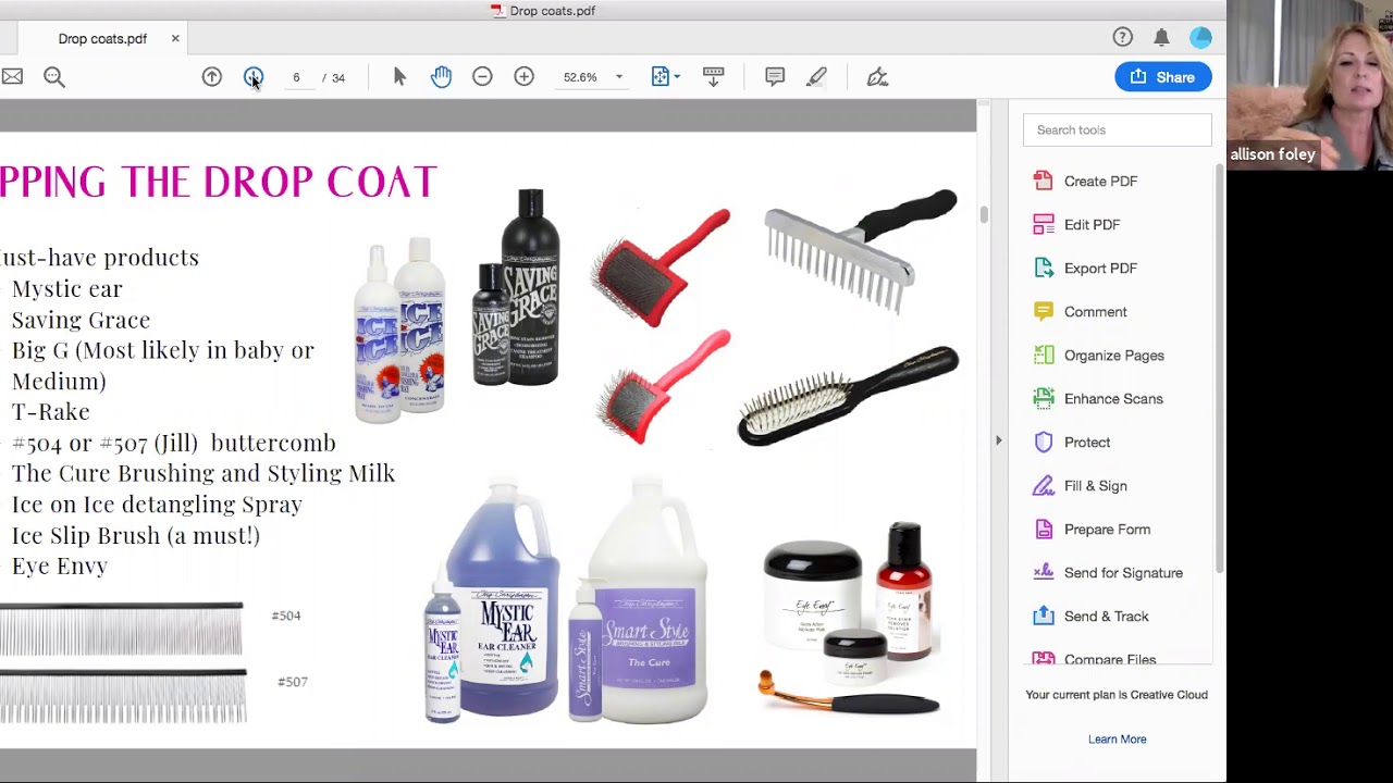 Drop Coat Seminar from Professional Handler Allison Foley - YouTube