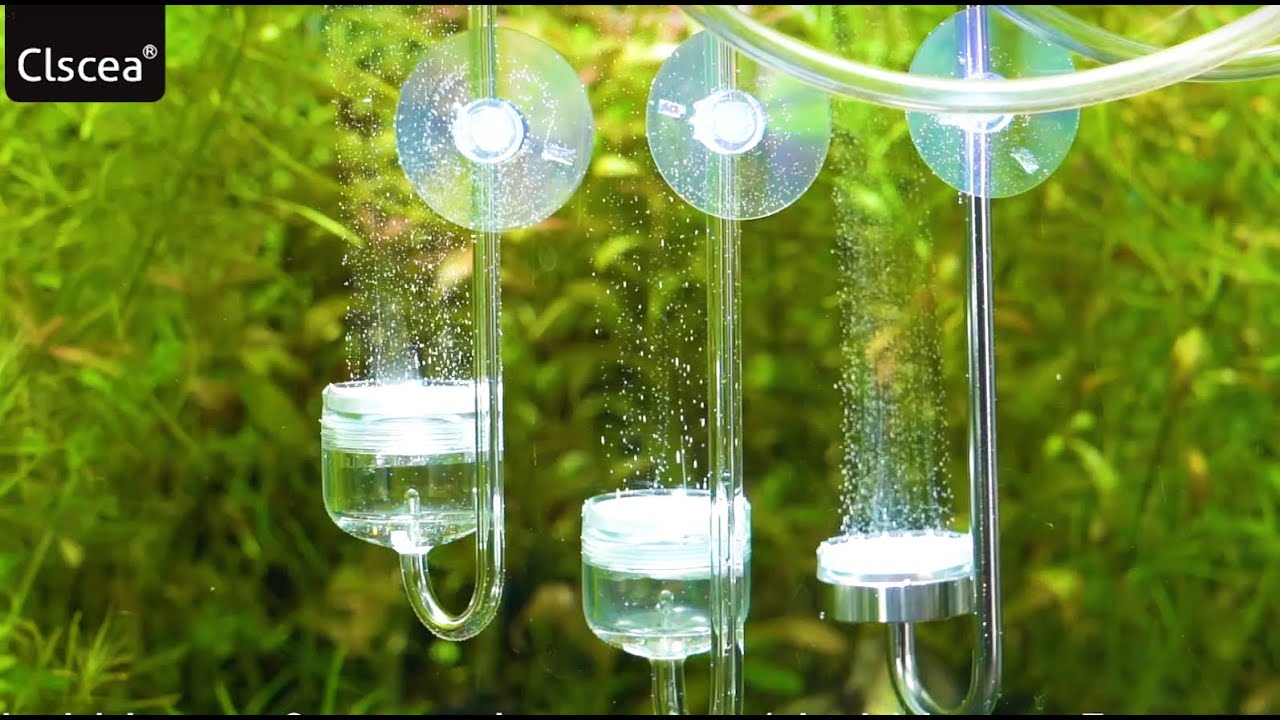 Clscea CO2 diffusers - YouTube