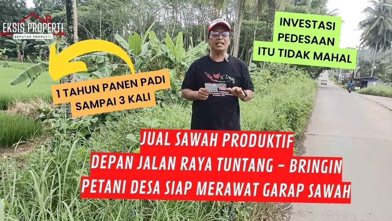 JUAL MURAH SAWAH DEPAN JALAN RAYA || SAWAH PRODUKTIF AIR MELIMPAH ...