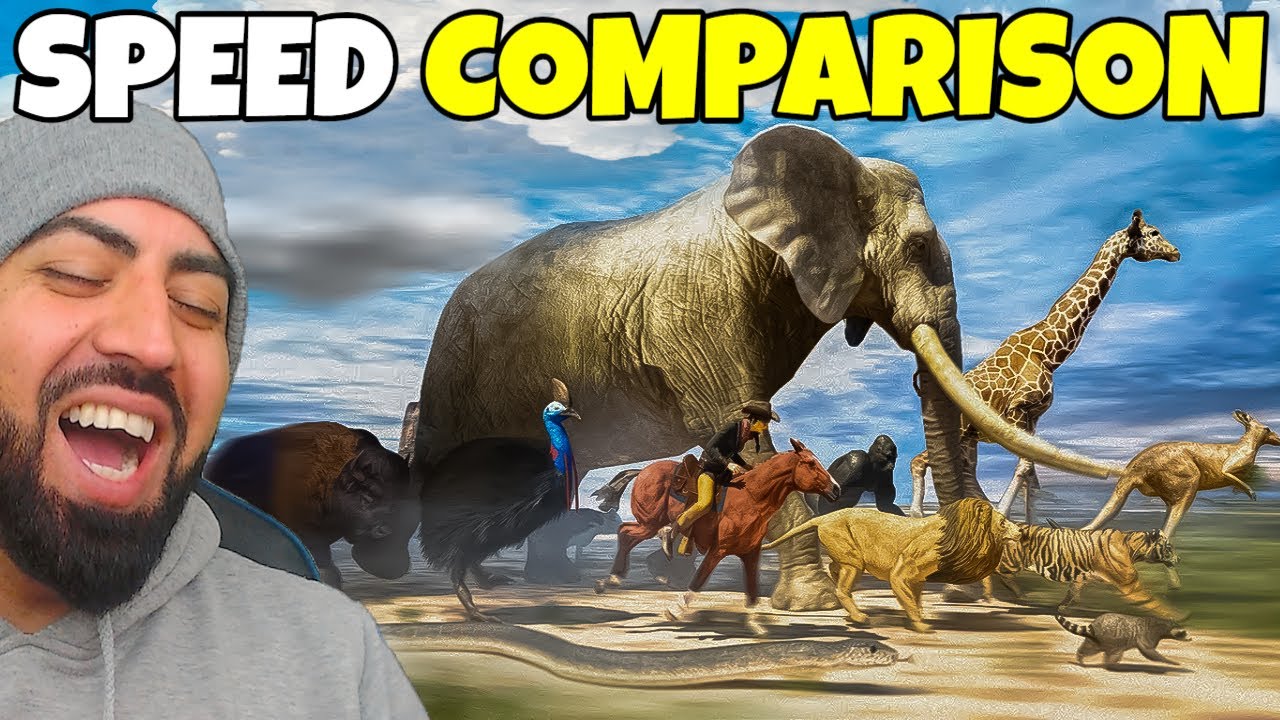 3D SPEED COMPARISON Reaction - YouTube