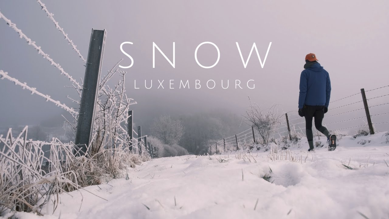 Cinematic Snow covered Forest in Luxembourg | Fujifilm & dji mini 4 pro ...