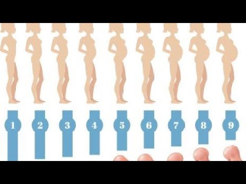 pregnancy of 9 months Miracle of baby forming - YouTube