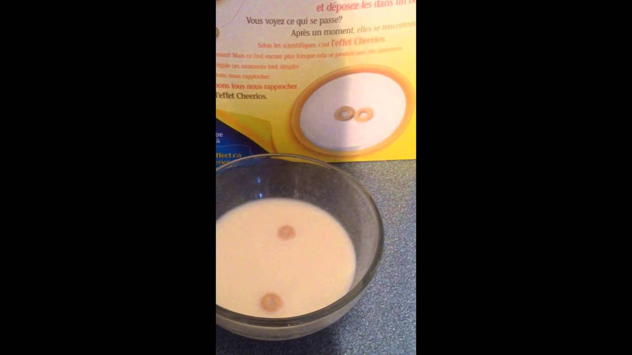 Adam Taylor Tests the Cheerios Effect - YouTube