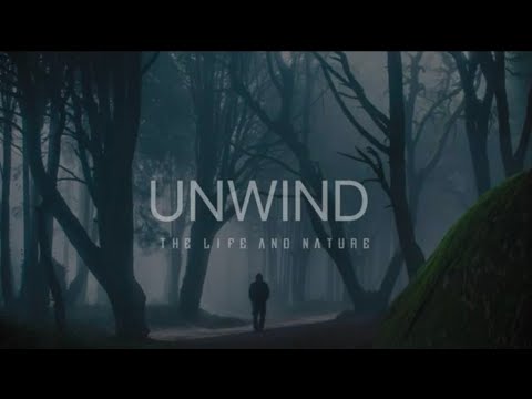 UNWIND | Life and Nature Documentary | Central University of Punjab ...