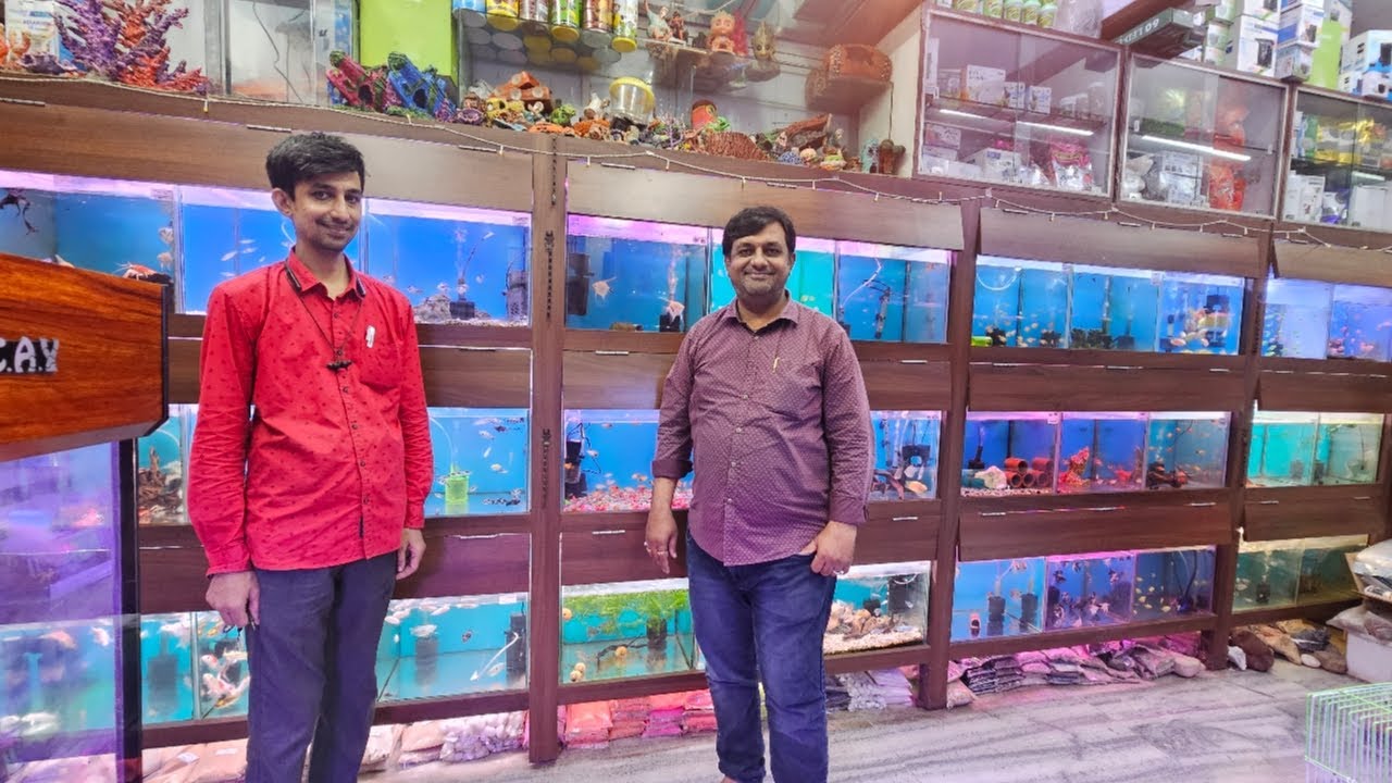 New Lovely Aquarium Fish Shop - YouTube