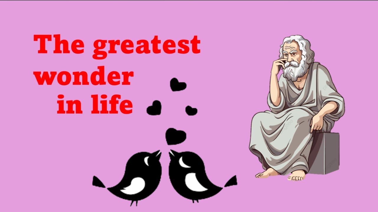 The greatest Wonder in life ll @Pleducation - YouTube