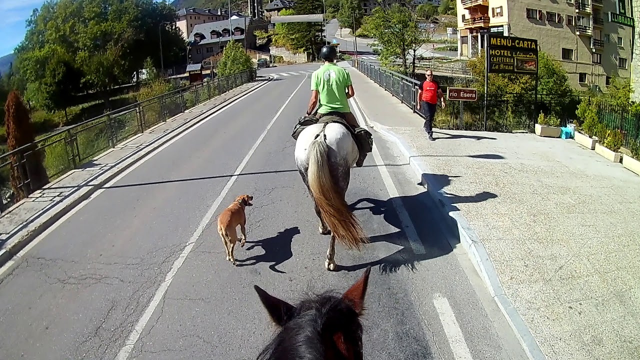 Horse ride through Benasque town - YouTube