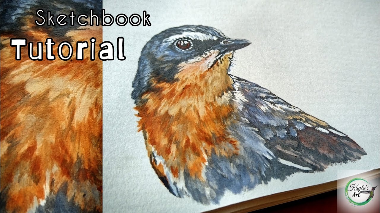 Painting realistic and details with Watercolours ~ Cape Robin Chat 🕊🖌👌🏻 ...