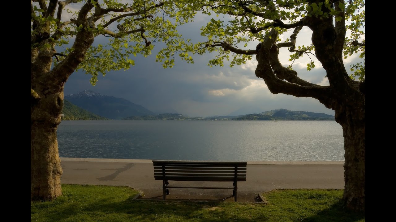 RELAXING forest sounds and music with CALMING dinamic slideshow - YouTube