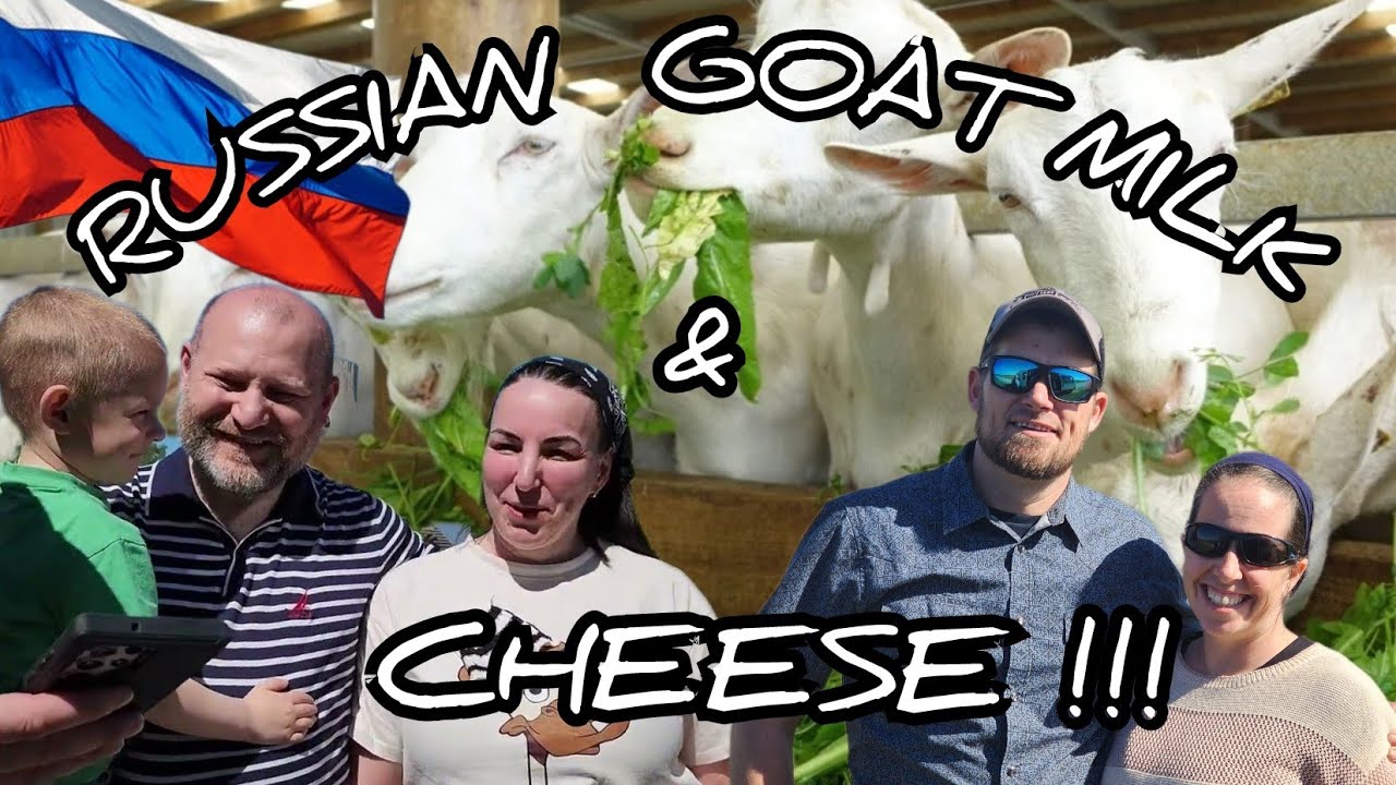 A RUSSIAN Homestead & GOAT Cheese FARM - YouTube