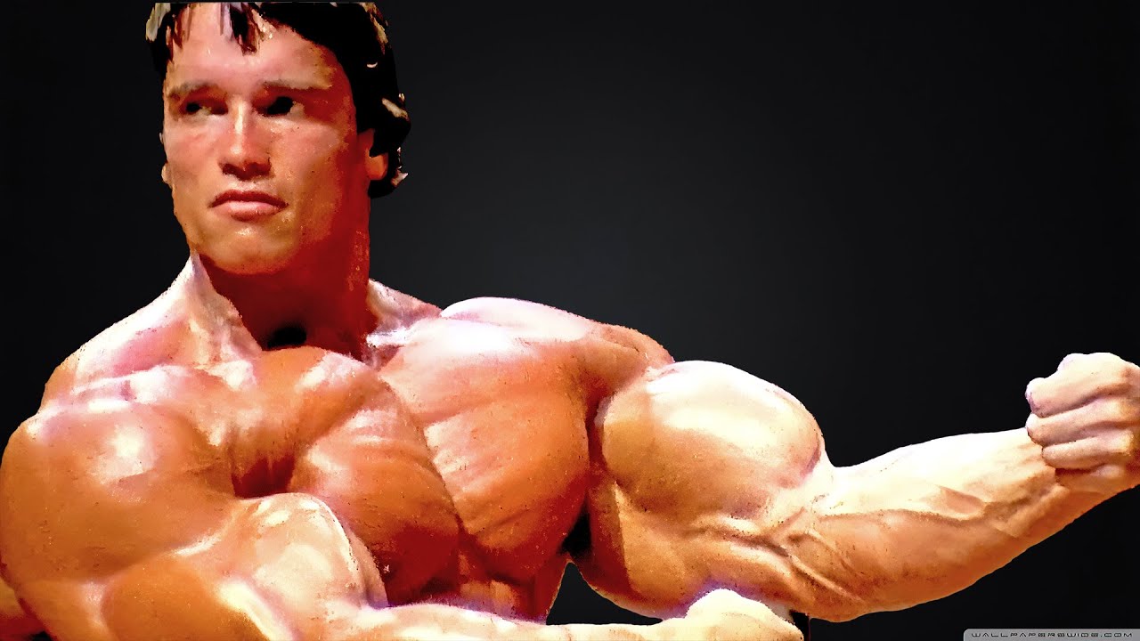 FROM ZERO TO THE BIGGEST BODYBUILDER OF THE CENTURY - ARNOLD ...