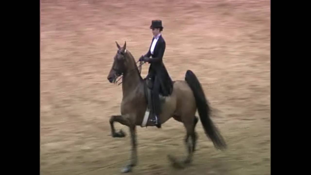 Always Trust In Me - YouTube