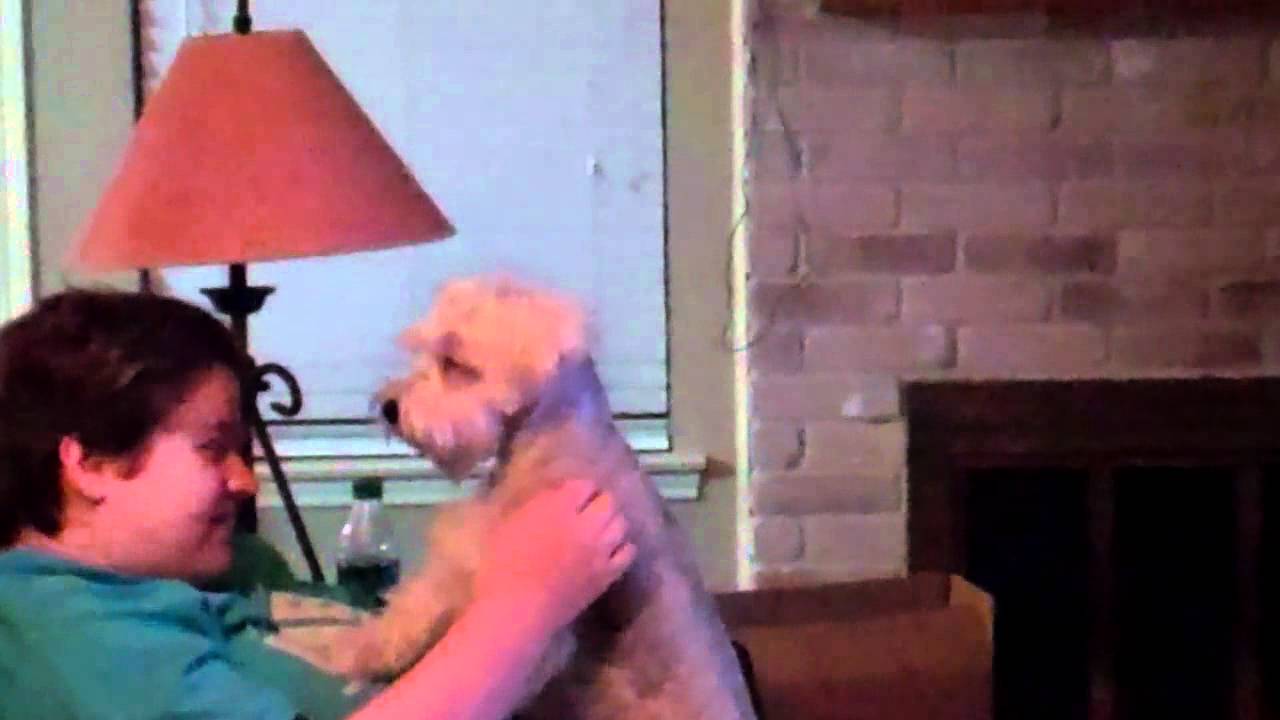 the maple kind?!?! - YouTube