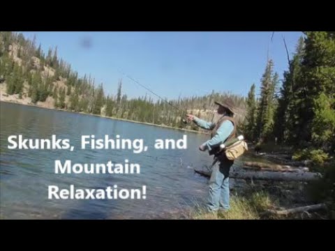 Skunks, Fishing, and Mountain Relaxation! - YouTube