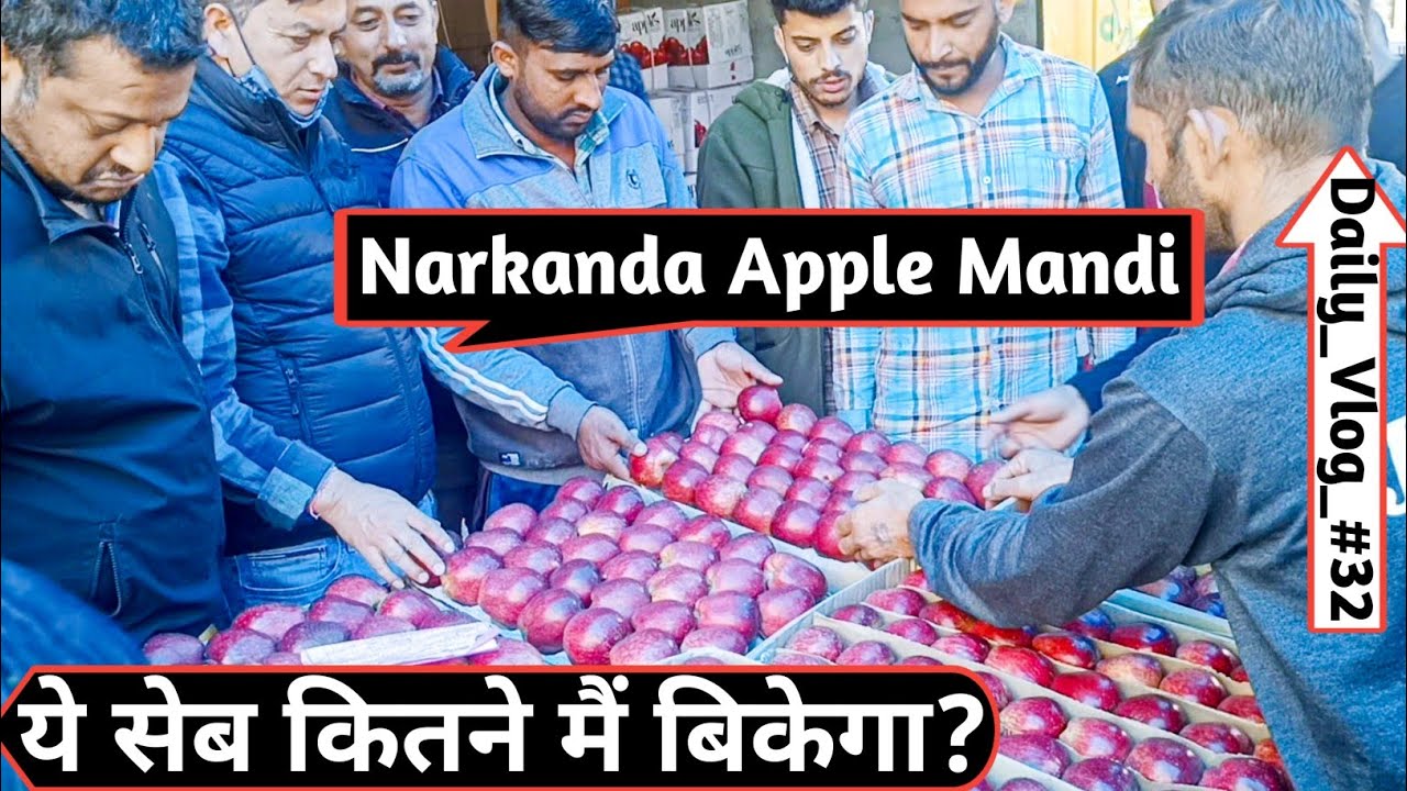Apple Market Narkanda Himachal ,(Shimla) सेब के दाम में आया उछाल ...