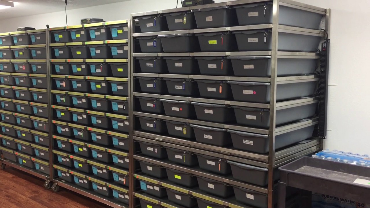 Breeding facility - YouTube