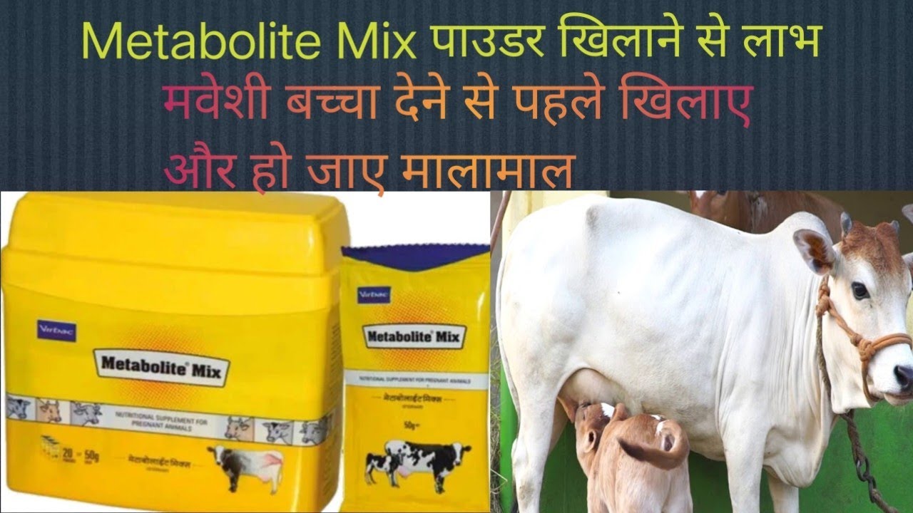 #Metabolite powder uses in Hindi/#metabolite kab khilaye/#Than #doctor ...