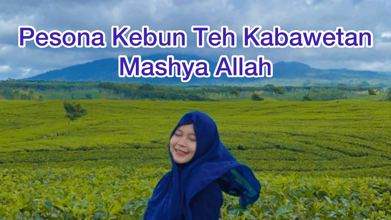 Pesona Kebun Teh Kabawetan Kepahiang, Provinsi Bengkulu - YouTube