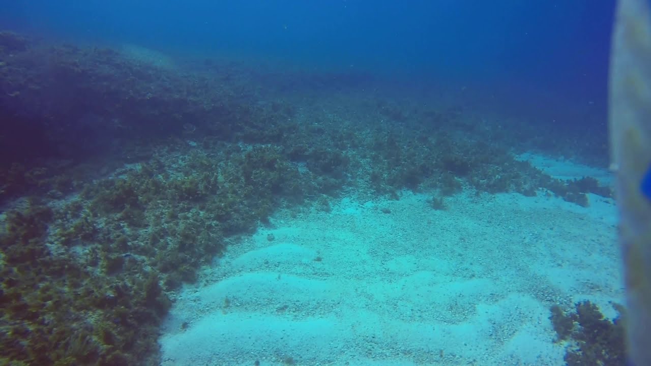 T17. Douglas Shoal Remediation Project – Towed Underwater Video ...