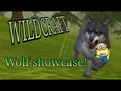 Wildcraft// Wolf showcase (UNFINISHED) - YouTube
