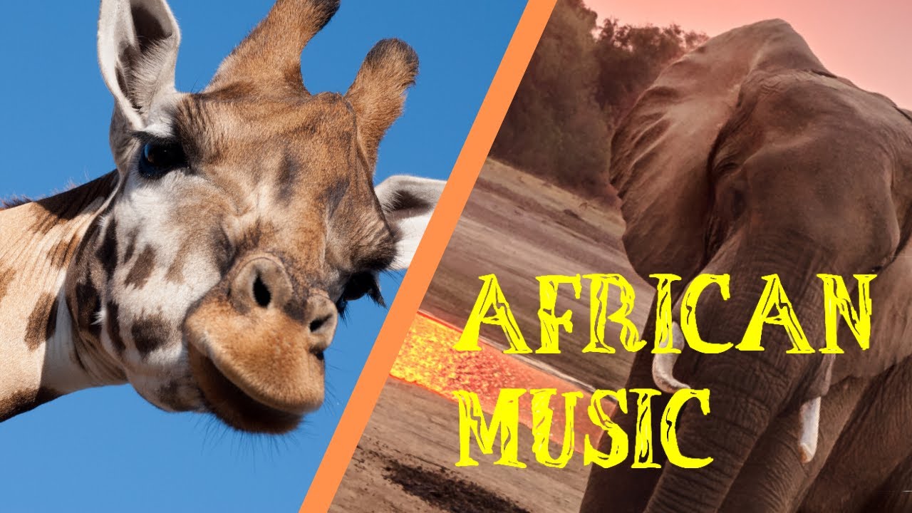 RELAXING AFRICAN MUSIC FOR THE SAVANNAH (2020) - YouTube