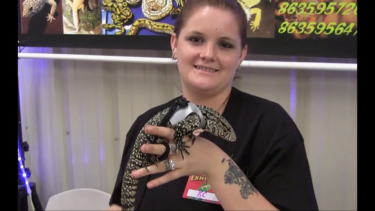 A Three Legged Firebelly Blue Argentine Tegu with Triple R Exotics at ...