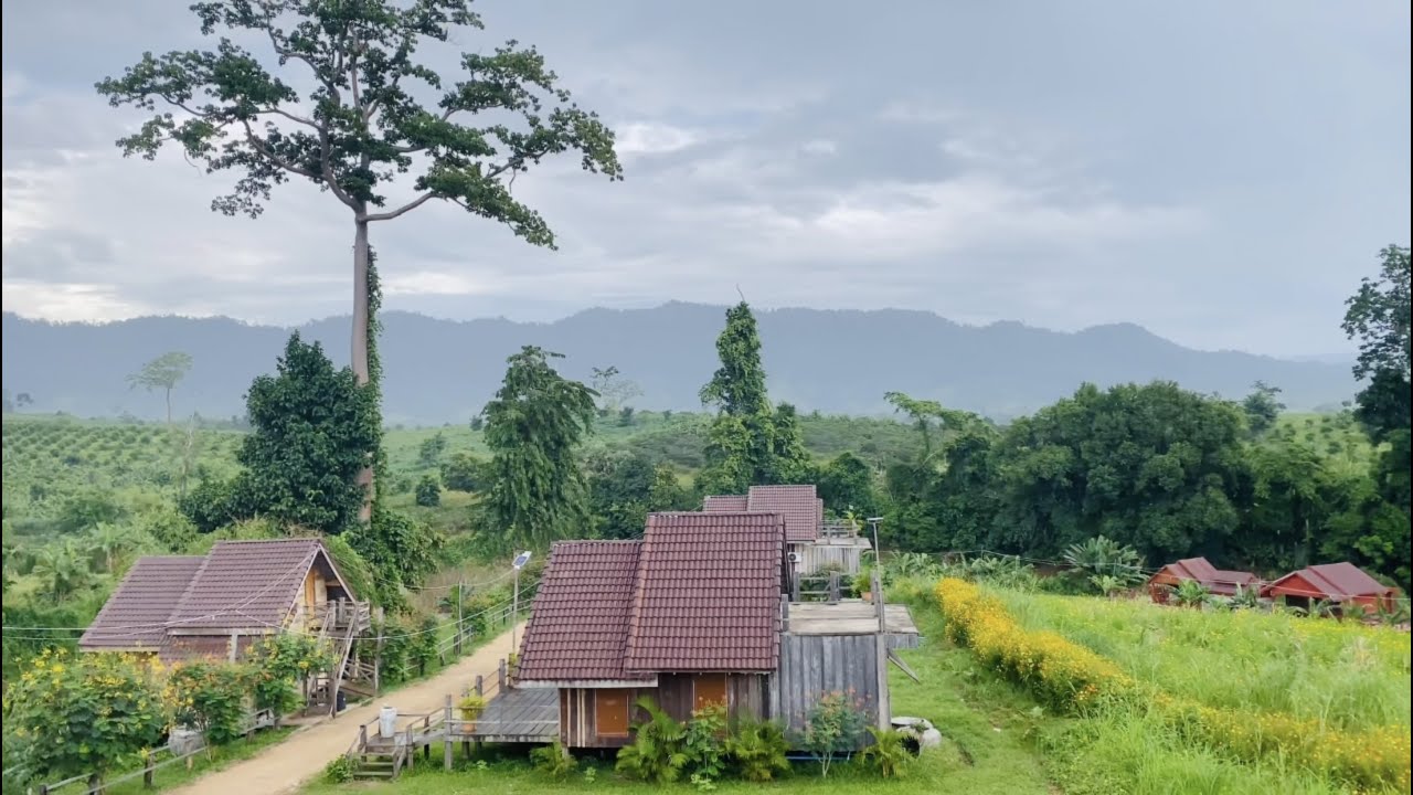 CAMBODIA Amazing view mountain 1500 | PHNOM 1500 Amazing view - YouTube